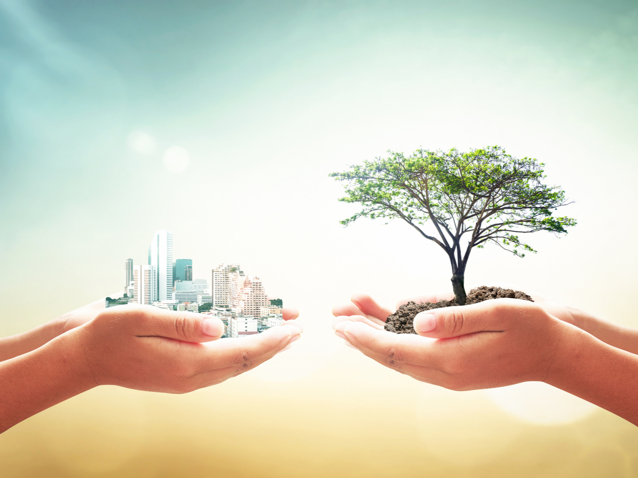 Cyber security and sustainability: Tips - Panda Security