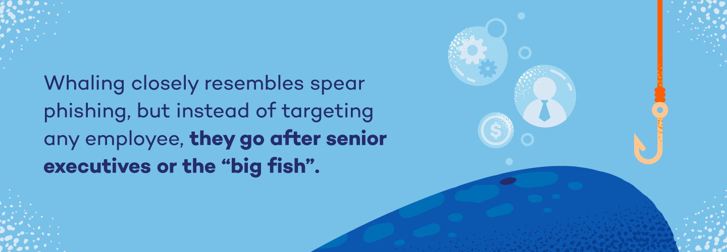 11 Types of Phishing + Real-Life Examples