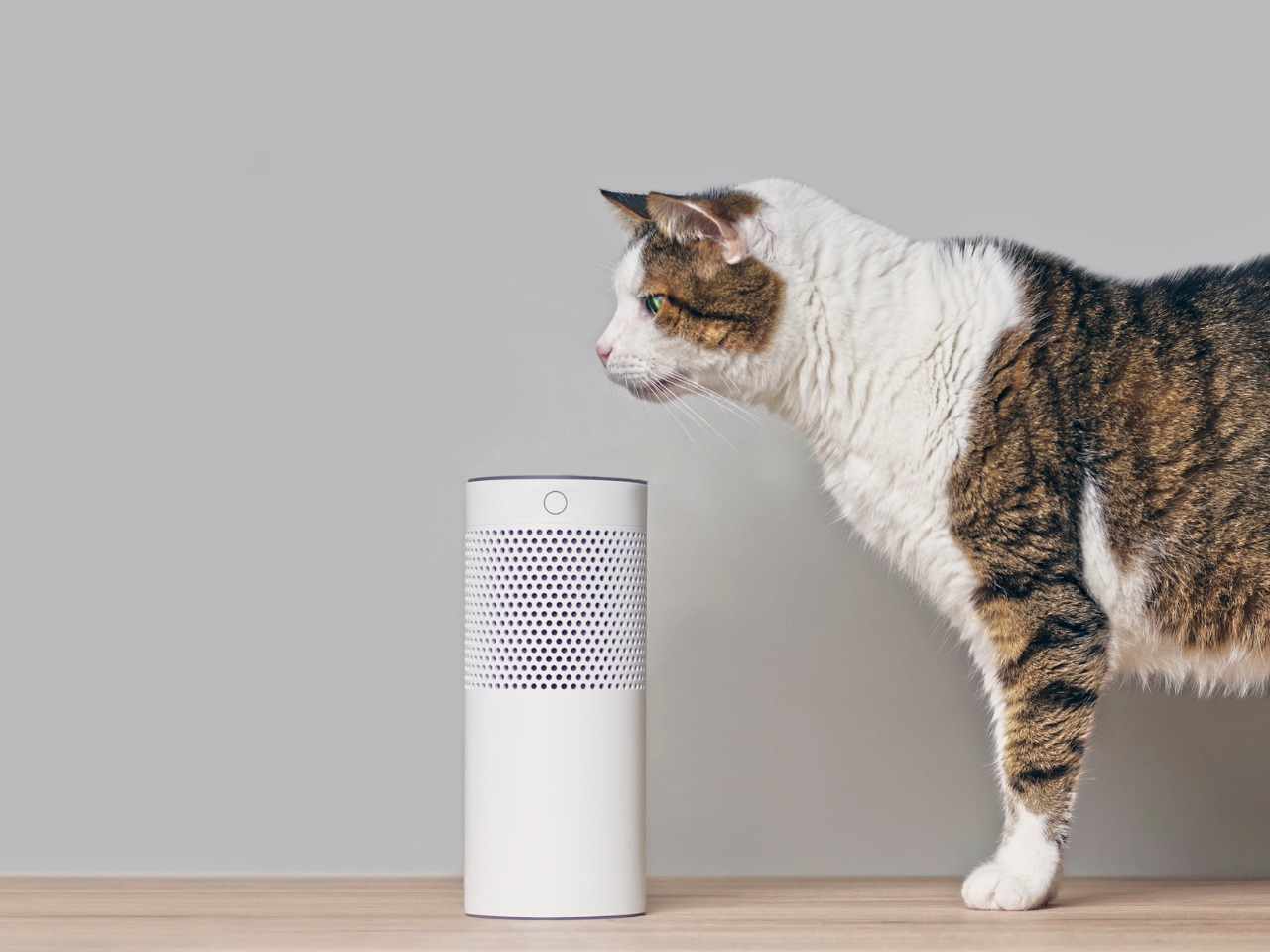 Las peligrosas vulnerabilidades descubiertas en Alexa - Panda Security